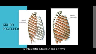 ☆ANATOMIA DEL TORAX Y TORACOTOMIA (1) (2).pdf