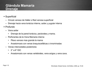Anatomía de la máma | PPT
