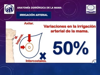 anatomía quirúrgica de mamas ivss 2024.pptx
