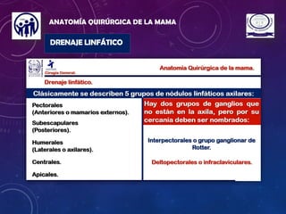 anatomía quirúrgica de mamas ivss 2024.pptx