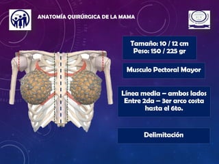 anatomía quirúrgica de mamas ivss 2024.pptx