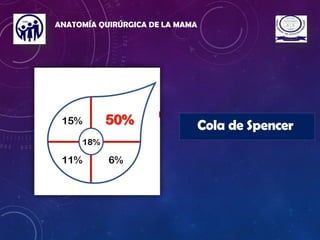 anatomía quirúrgica de mamas ivss 2024.pptx