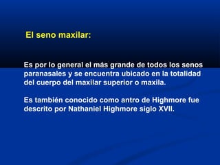 Anatomia de maxilares nuevo | PPT