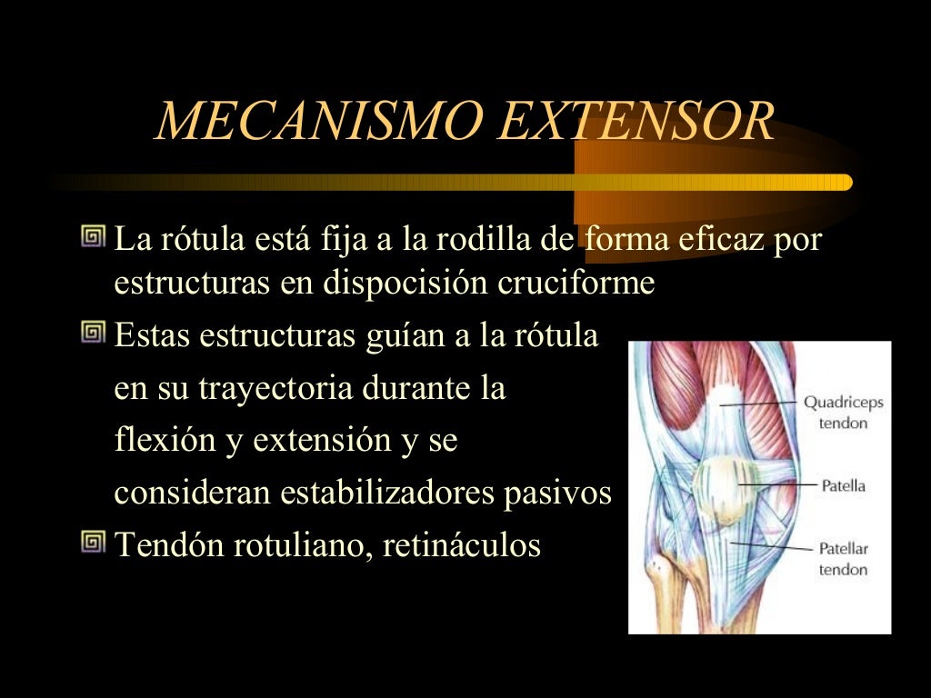Hipersolicitação Do Mecanismo Extensor - RETOEDU