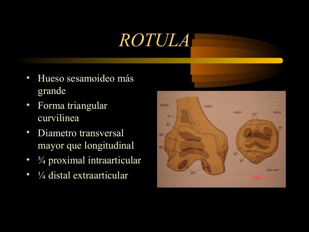 Hiperpressão Do Mecanismo Extensor - RETOEDU