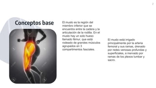 Anatomía de muslo .pptx