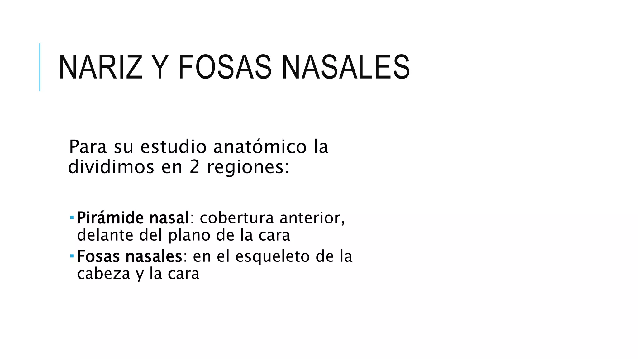 Anatomia de nariz, fosas nasales y senos paranasales.pptx