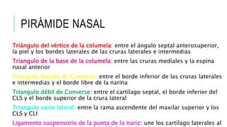 Anatomia de nariz, fosas nasales y senos paranasales.pptx
