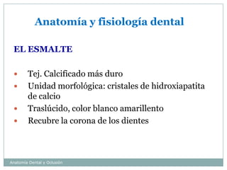 Anatomia dental | PDF