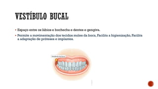 Anatomia dental para técnico de saúde bucal | PDF