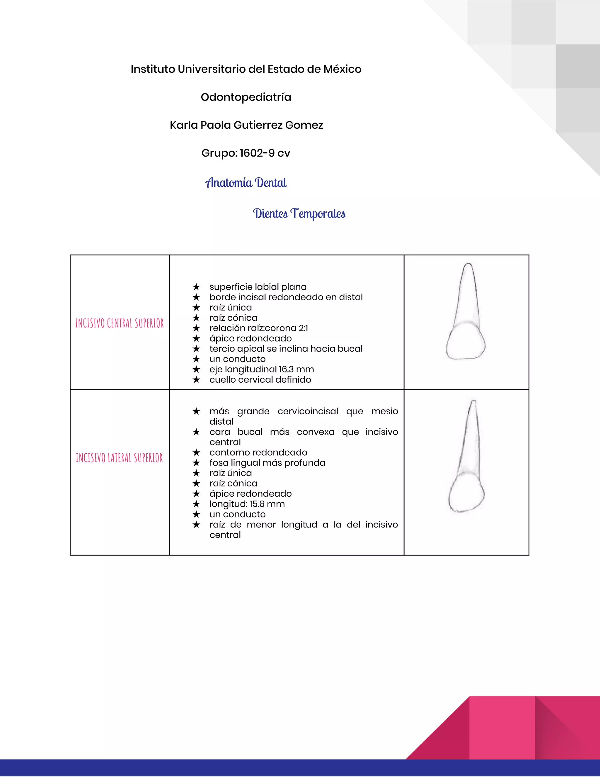 Anatomia dental (dientes temporales) | PDF