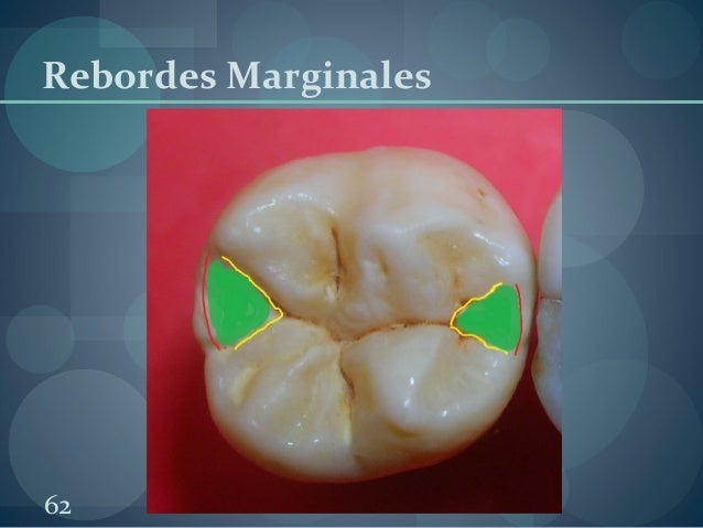 Anatomia dentaria Ingreso FOUNA