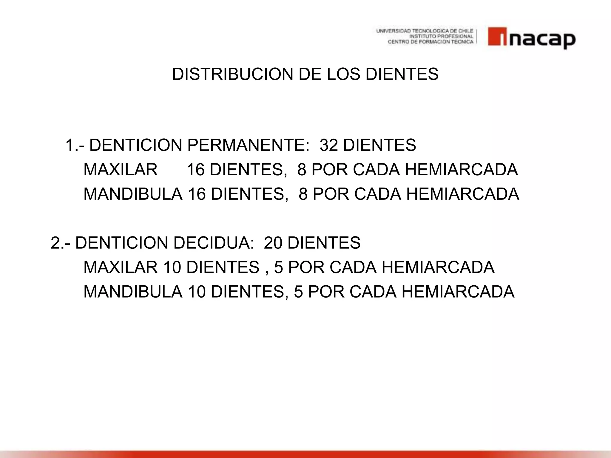 Anatomia dentaria definitiva | PPTX