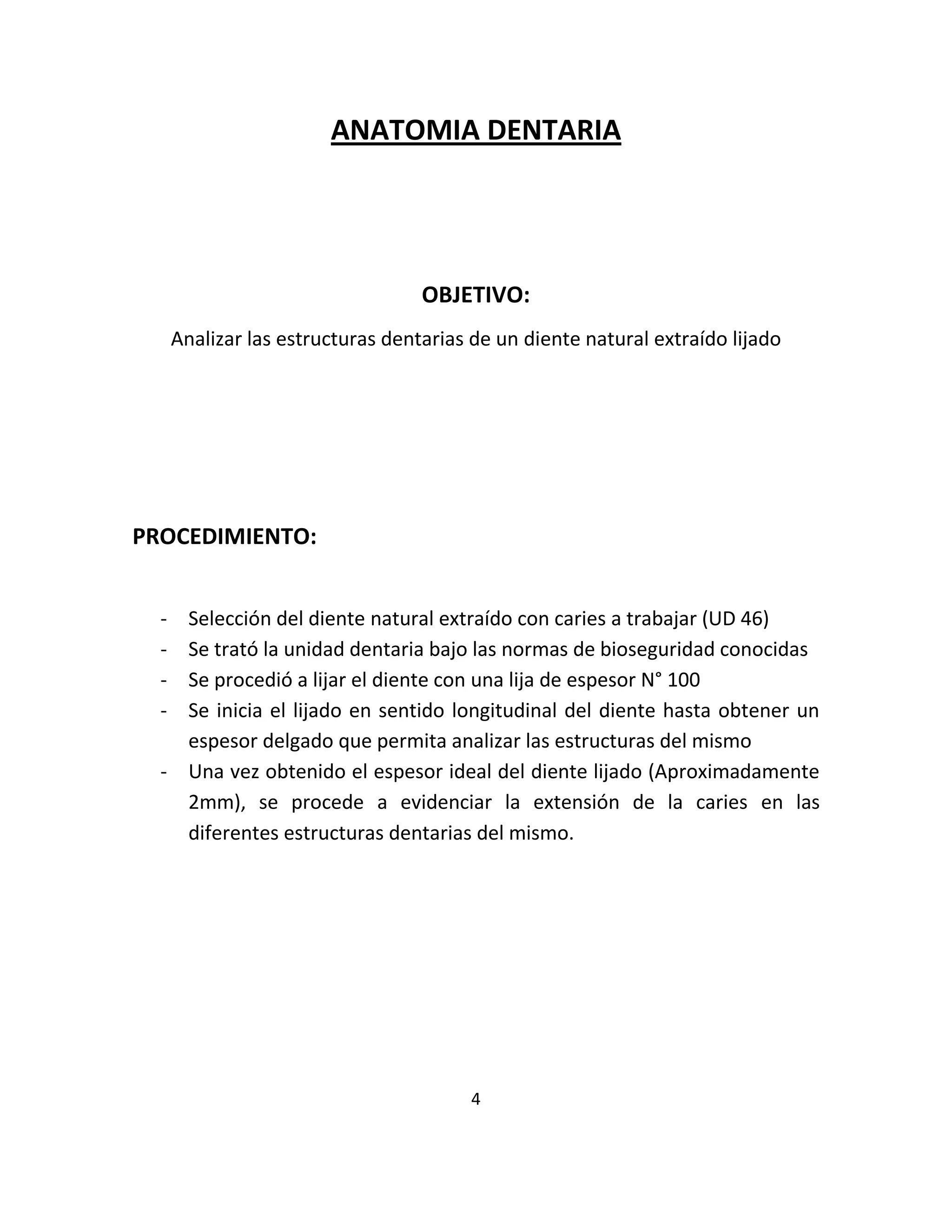 Anatomia Dentaria Diente Lijado | PDF