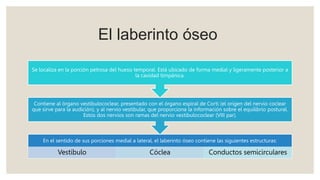 ANATOMIA DE OIDO Y OTITIS AGUDA GPC.pptx