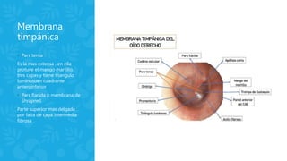 ANATOMIA DE OIDO Y OTITIS AGUDA GPC.pptx