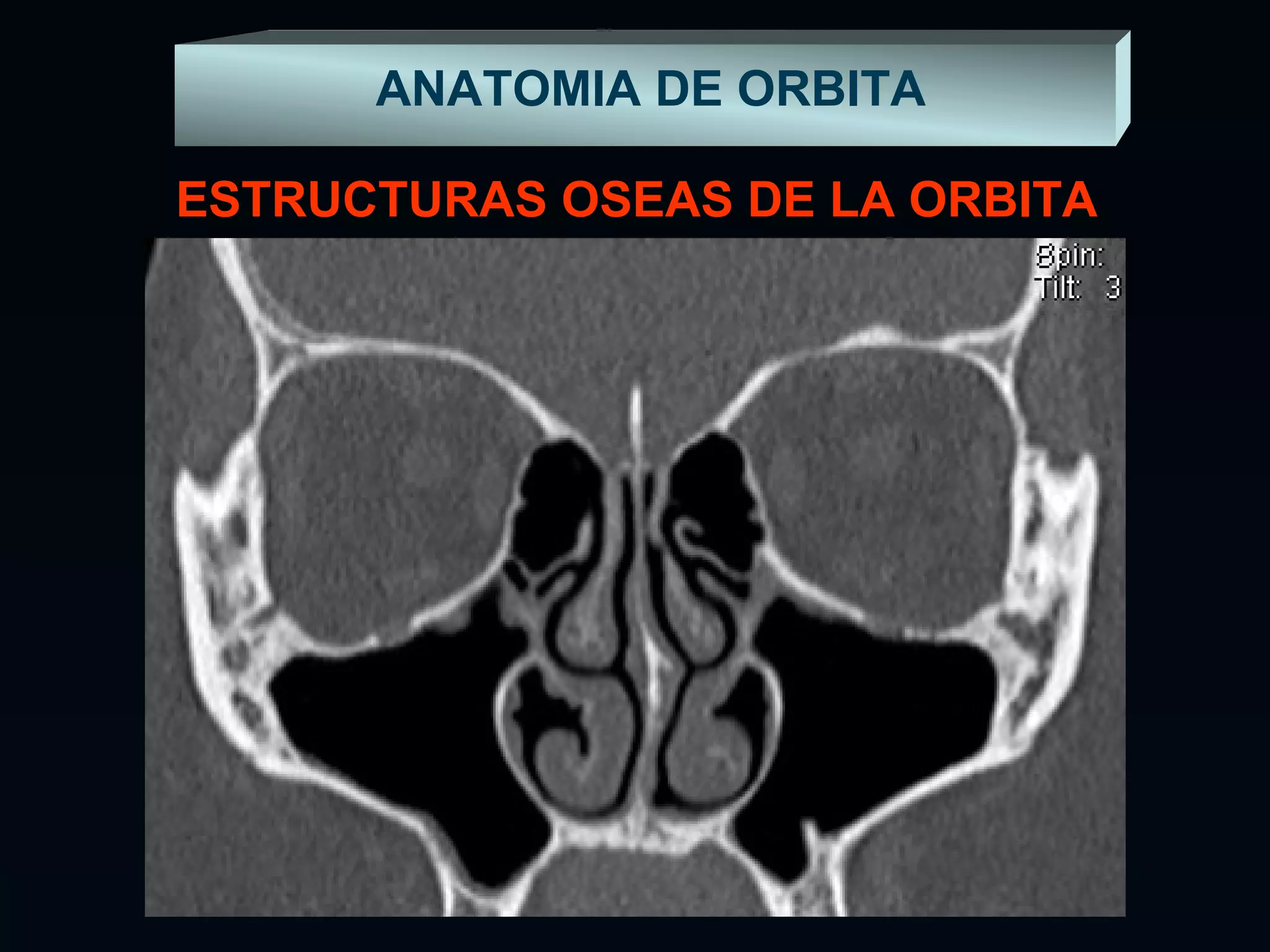 Anatomía de Orbita | PPT