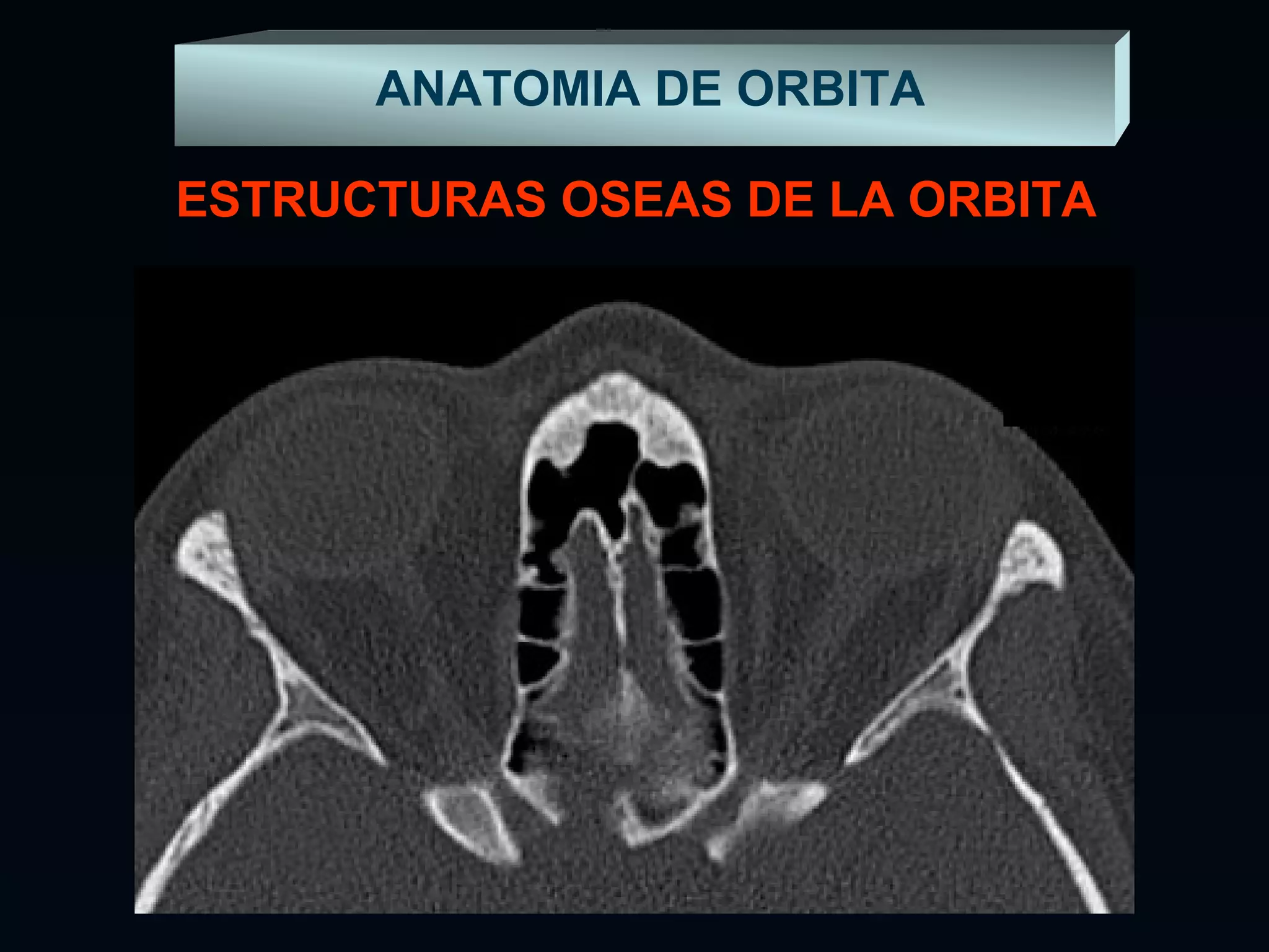 Anatomía de Orbita | PPT