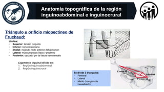Anatomia de pared Abdominal y hernia inguinal (1).pptx