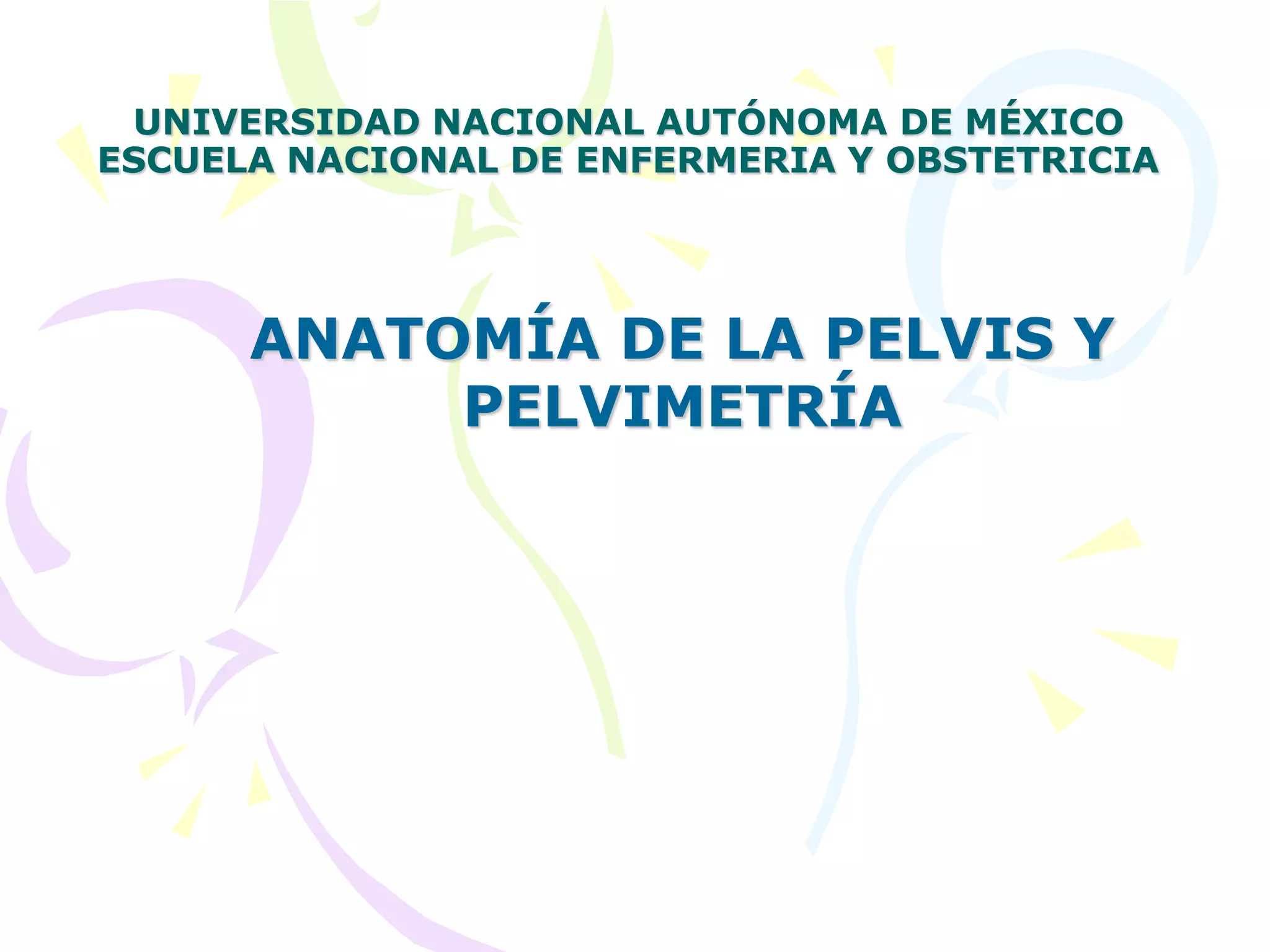 Anatomia De Pelvis Pelvimetria Ppt