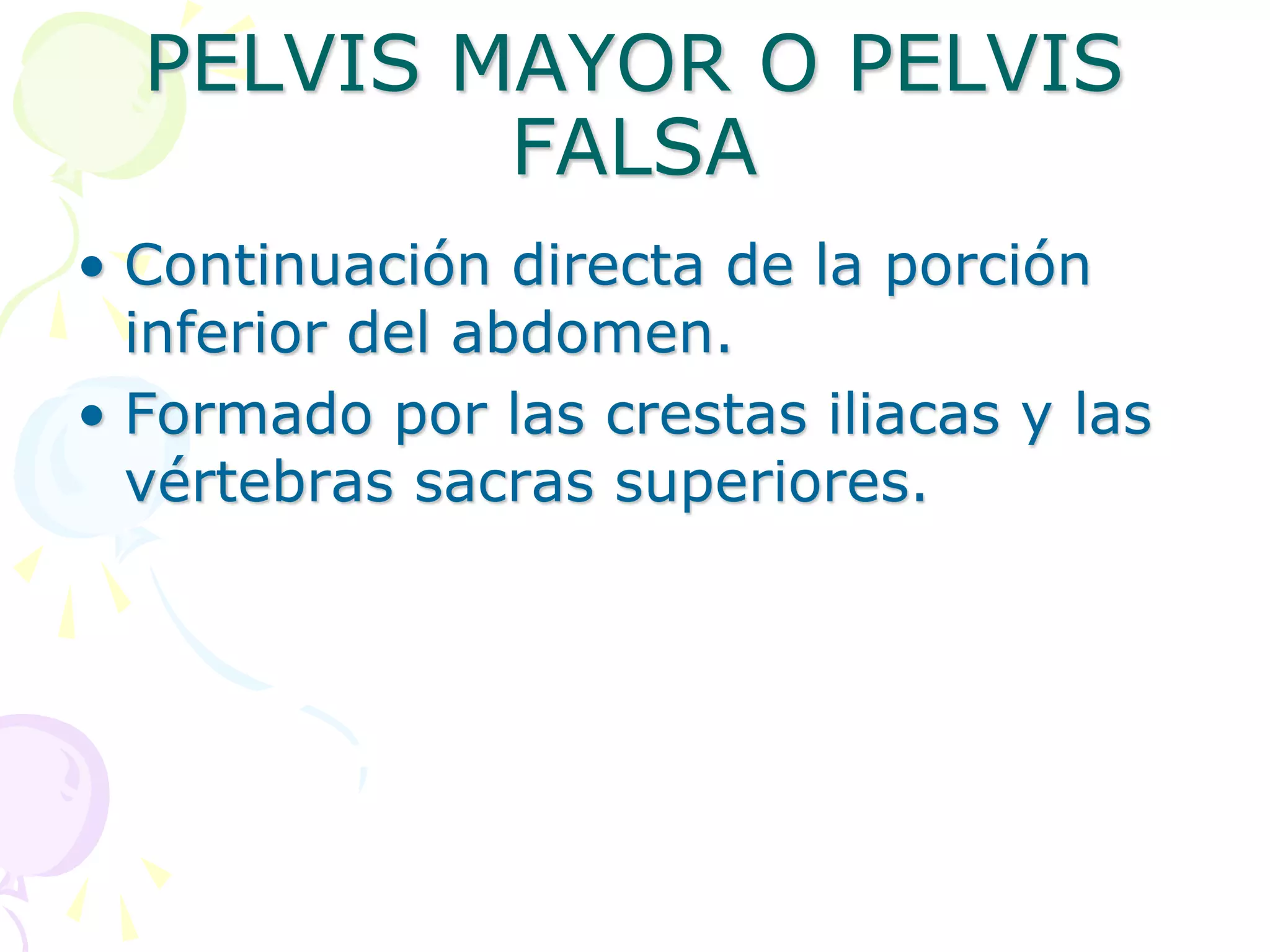 Anatomia de pelvis pelvimetria | PPT