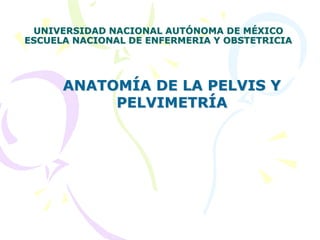 Anatomia de pelvis pelvimetria | PPT