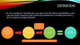 Anatomia de peritoneo | PPTX