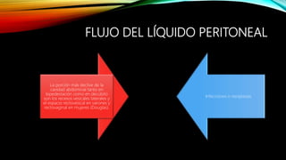 Anatomia de peritoneo | PPTX