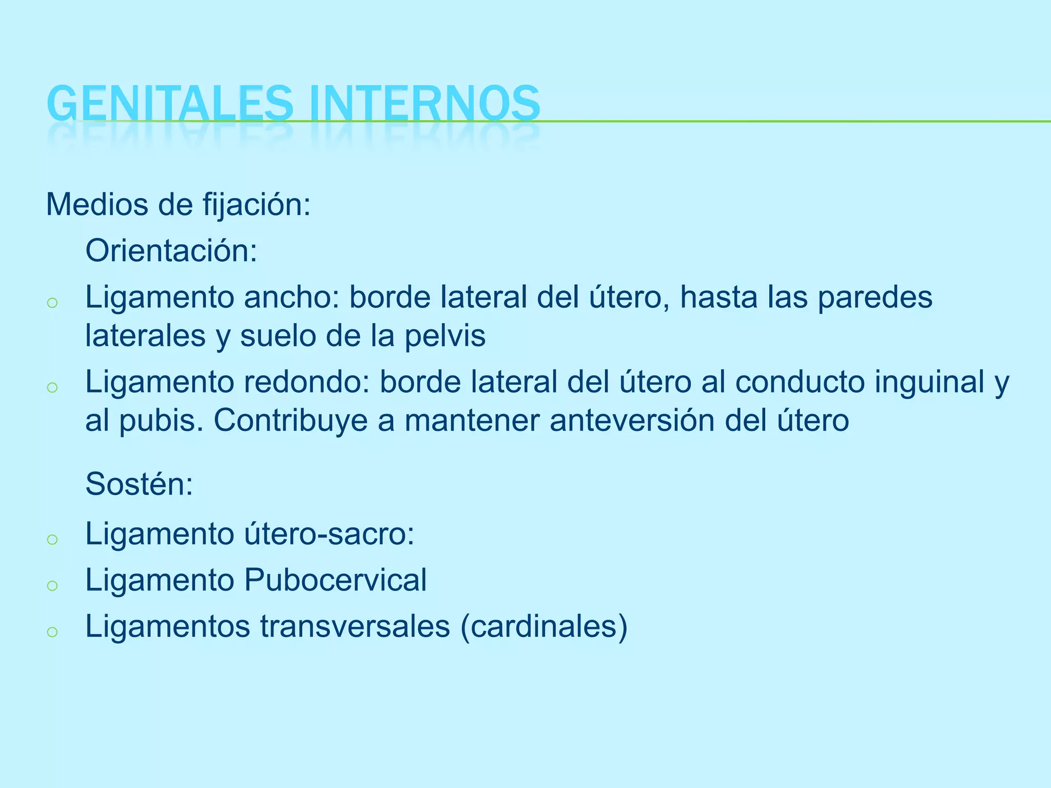 Anatomia del aparato reproductor femenino | PPTX