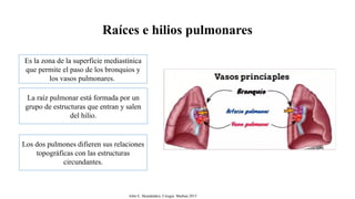 ANATOMIA DE PULMON PLEURA Y DIAFRAGMA.pptx