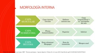 ANATOMIA DE RECTO.pptx