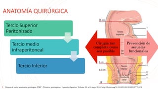 ANATOMIA DE RECTO.pptx