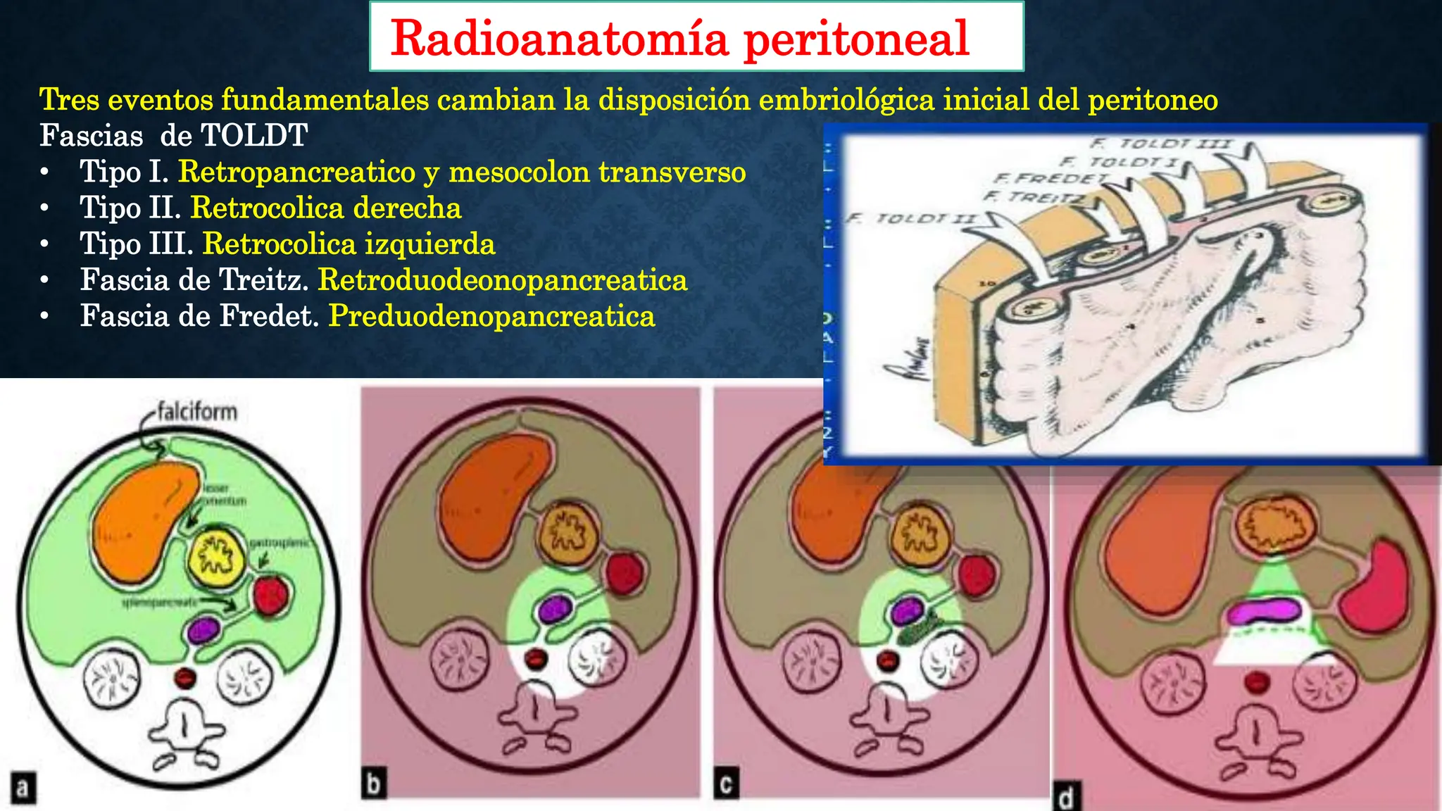 ANATOMIA DE RETROPERITONEO GASTROENTEROLOGIA | PPTX