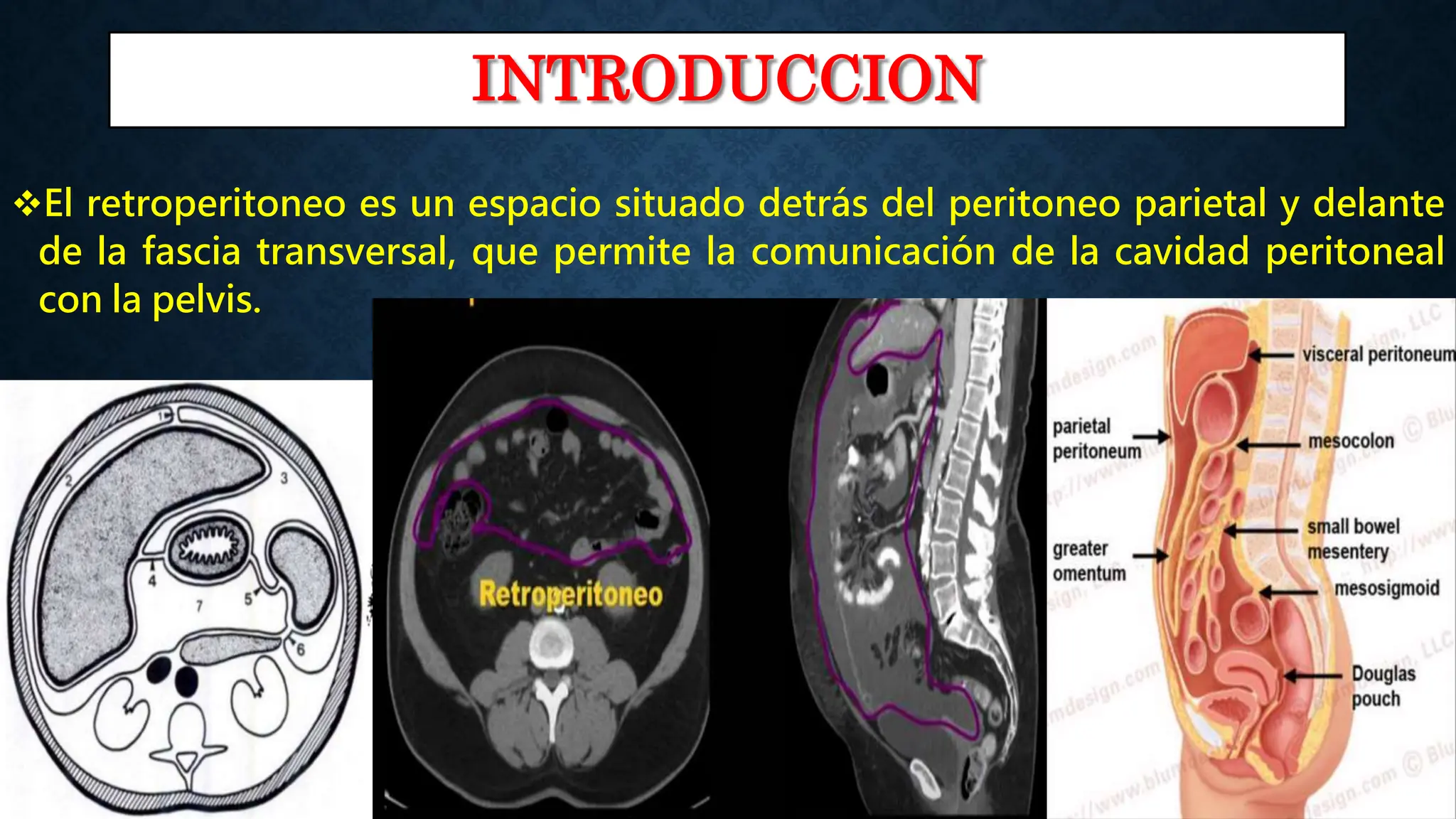 ANATOMIA DE RETROPERITONEO GASTROENTEROLOGIA | PPTX