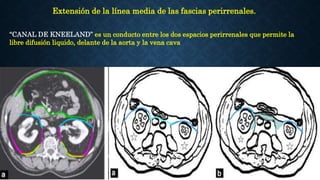 ANATOMIA DE RETROPERITONEO GASTROENTEROLOGIA | PPTX