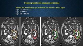 ANATOMIA DE RETROPERITONEO GASTROENTEROLOGIA | PPTX