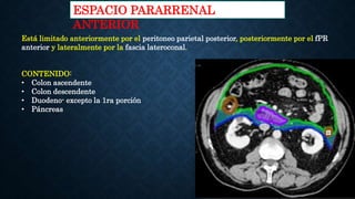 ANATOMIA DE RETROPERITONEO GASTROENTEROLOGIA | PPTX