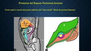 ANATOMIA DE RETROPERITONEO GASTROENTEROLOGIA | PPTX
