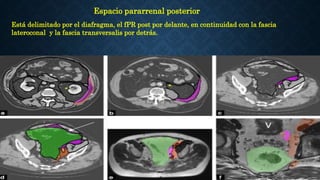 ANATOMIA DE RETROPERITONEO GASTROENTEROLOGIA | PPTX