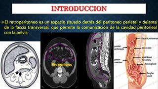 ANATOMIA DE RETROPERITONEO GASTROENTEROLOGIA | PPTX