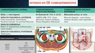 ANATOMIA DE RETROPERITONEO GASTROENTEROLOGIA | PPTX
