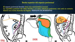 ANATOMIA DE RETROPERITONEO GASTROENTEROLOGIA | PPTX