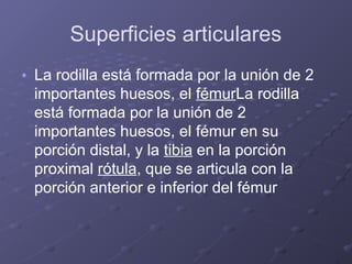 anatomia de rodilla, DESCRIPCION, RECURSOS | PPTX