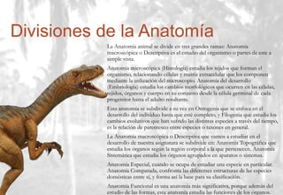 anaomia de animales vetebrados sin editar | PPT
