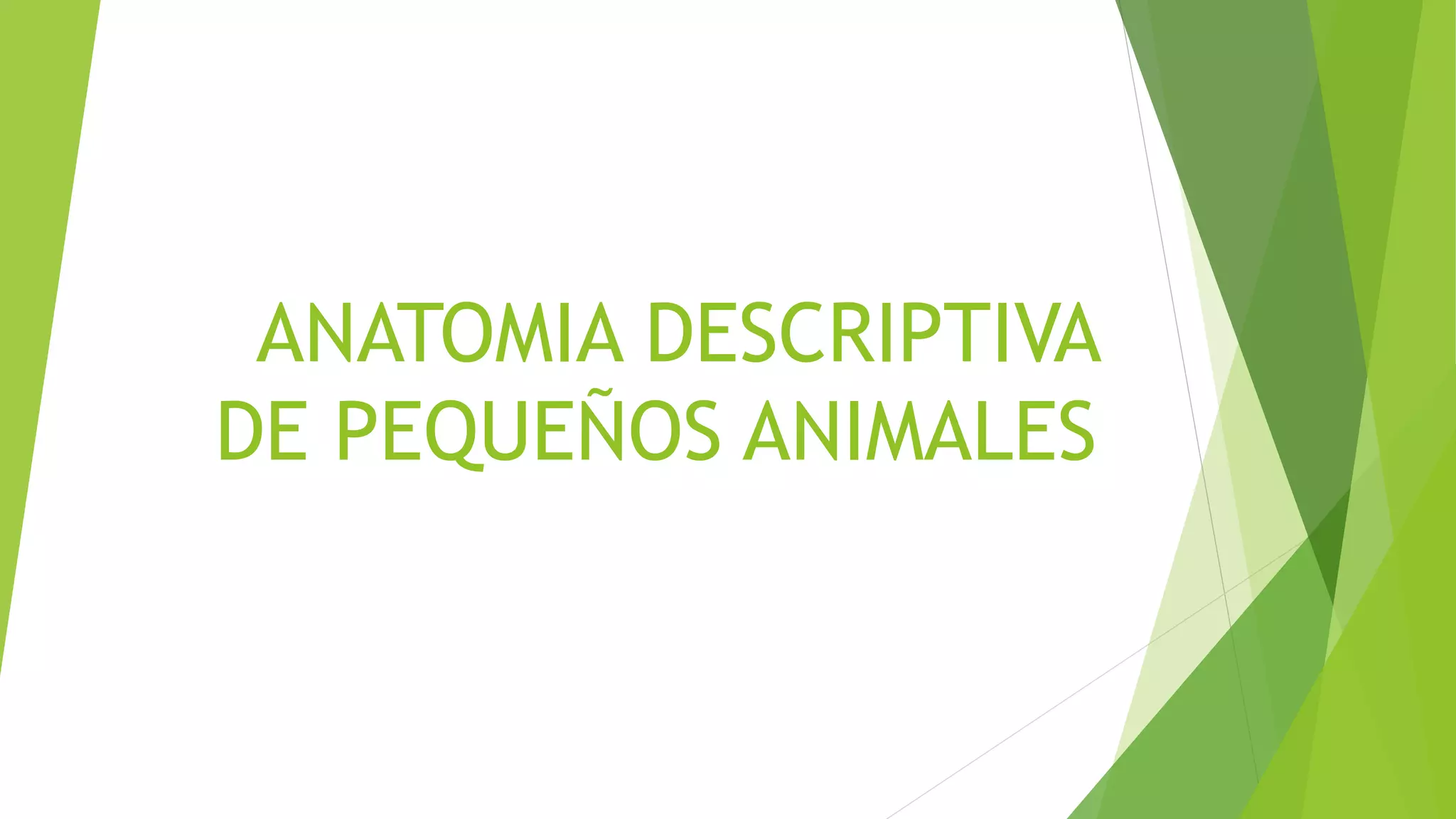 ANATOMIA DESCRIPTIVA DE PEQUEÑOS ANIMALES.pptx