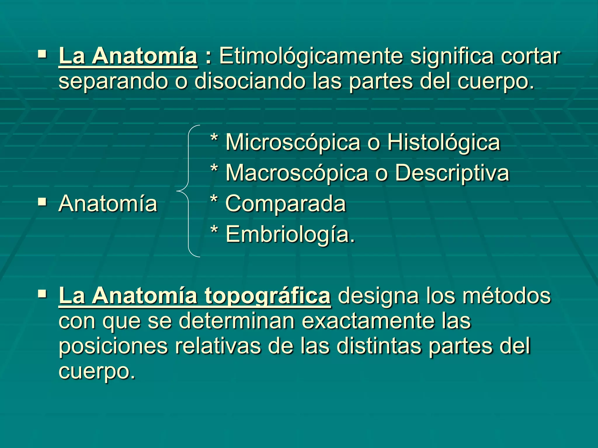 Anatomia descriptiva unidad i | PPSX | Death, Injury, or Military ...