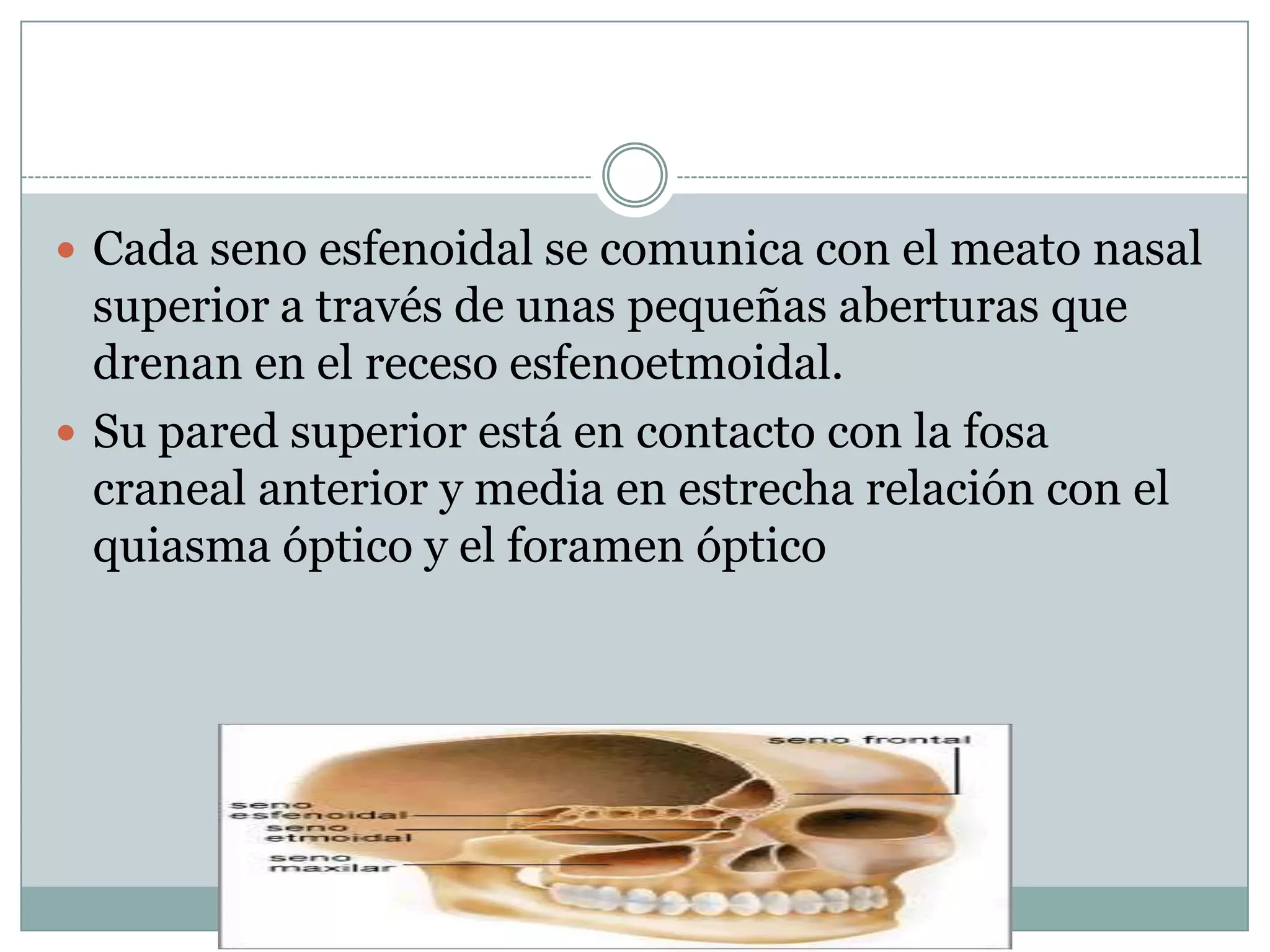 Anatomia de senos paranasales | PPTX