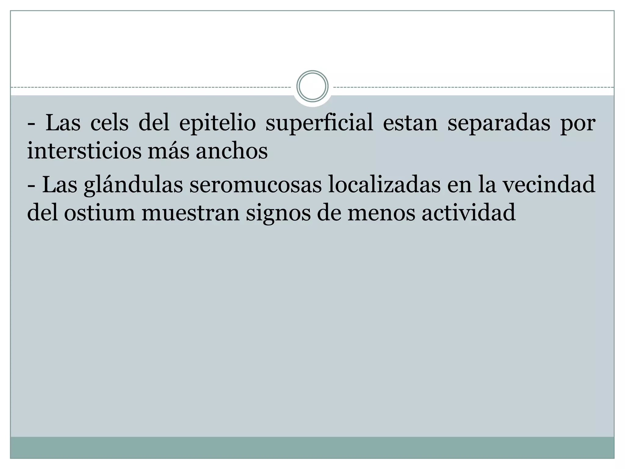Anatomia de senos paranasales | PPTX