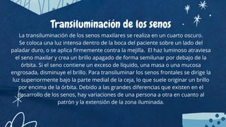 Anatomía de superficie y clínica.pdf.pdf