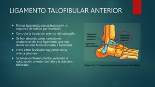 ANATOMIA DE TOBILLO .................... | PPTX